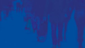 About Disc - A low-level Crime Information-sharing System